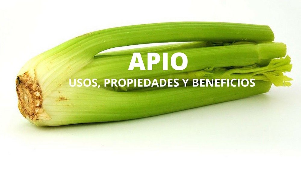 Apio: usos, propiedades y beneficios