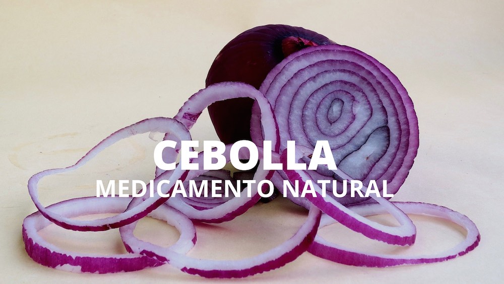 Cebolla: propiedades, beneficios y usos + para qué sirve