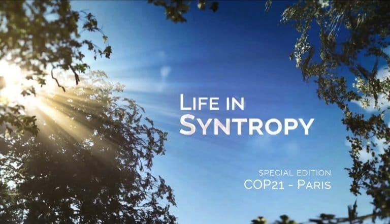 Sintropía, la nueva técnica para producir alimentos y recuperar bosques