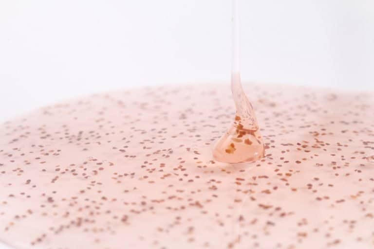 Investigadores austriacos han descubierto que los microplásticos y ...