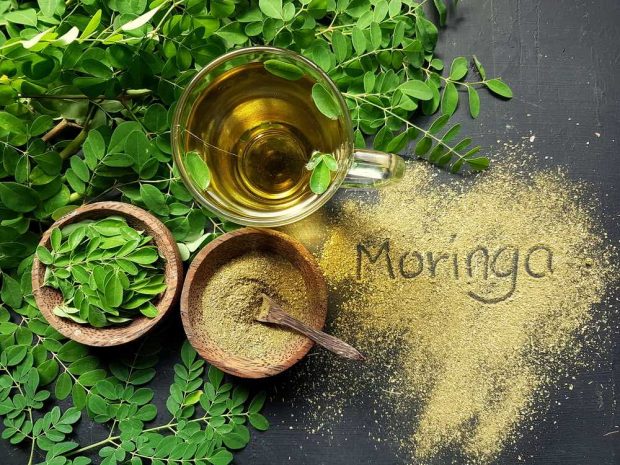 6 beneficios que debes conocer de la Moringa