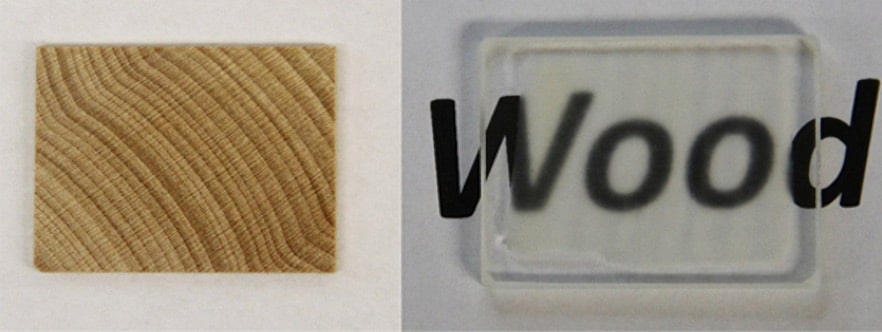 Madera transparente: material ecológico innovador para la construcción ...