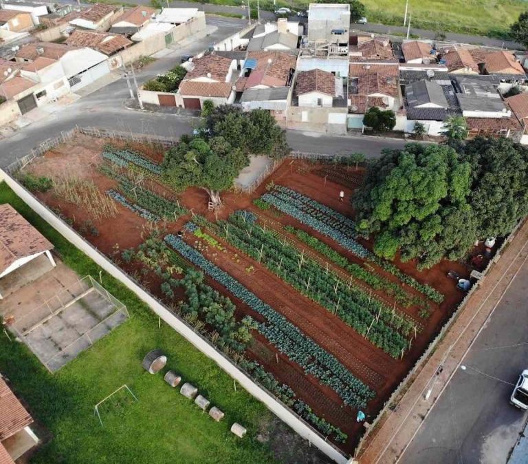 Un ejemplo de cómo las huertas urbanas comunitarias pueden alimentar a ...