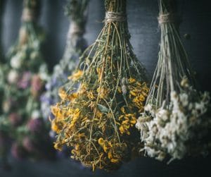Cómo secar hierbas y plantas en casa