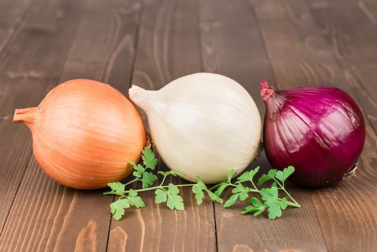Cebolla: propiedades, beneficios y usos + para qué sirve