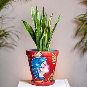 4 formas sencillas de propagar Sansevieria o planta de serpiente