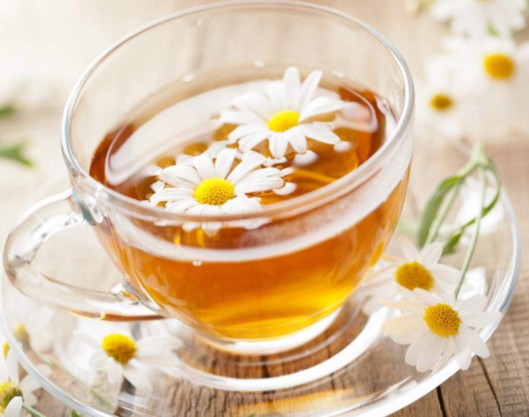 Beneficios, propiedades y usos del Copalchi