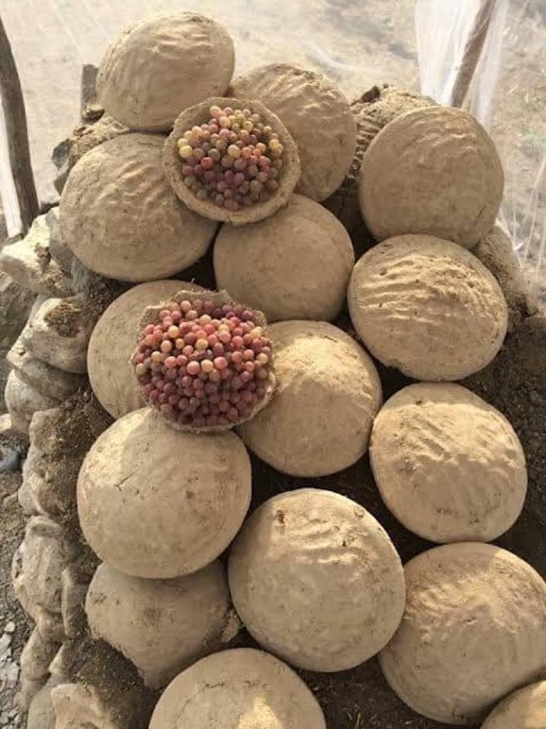 Kangina: el método tradicional de Afganistán para conservar las uvas ...