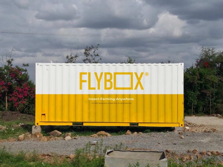 Flybox, la primera granja de insectos totalmente modular del mundo