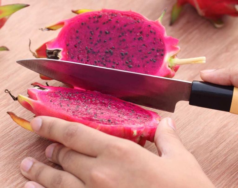 Cultiva Pitaya: la planta exótica que transformará tu jardín