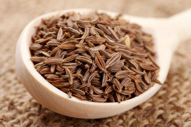 Beneficios, propiedades y usos del Copalchi