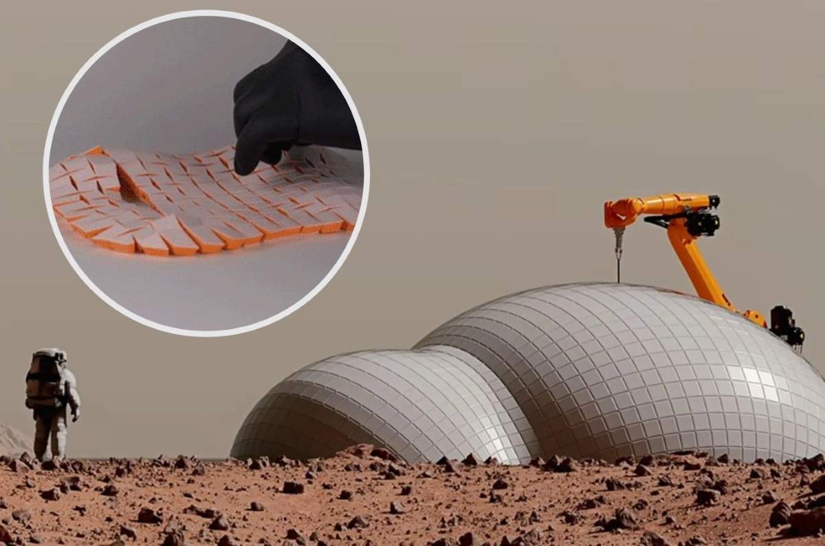 Investigadores del MIT diseñan estructuras 3D que se despliegan con un ...