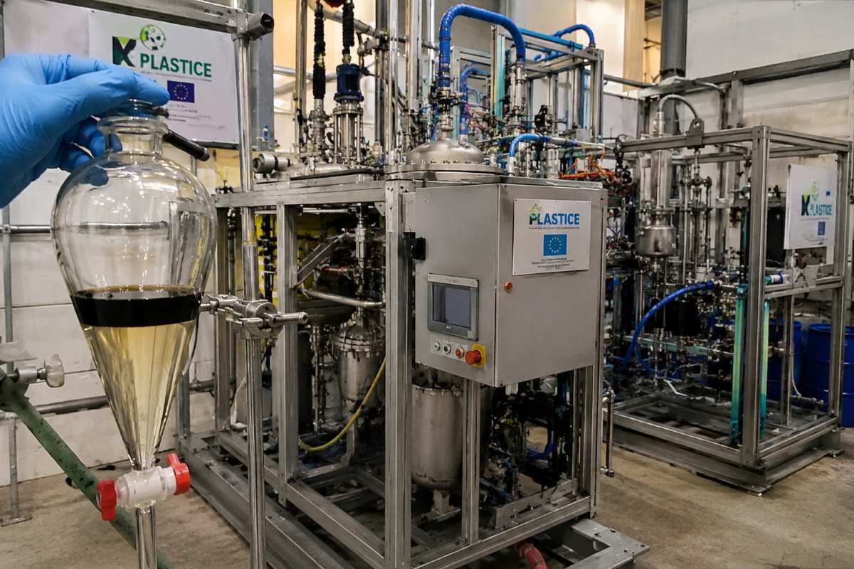 Científicos neerlandeses desarrollan nueva tecnología, con planta ...